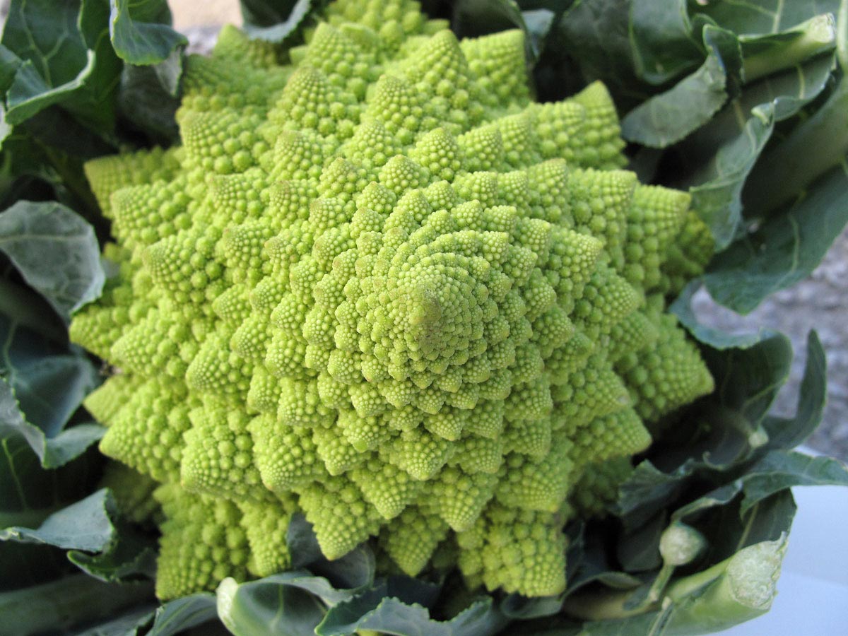 Mangia cavoli e… col cavolo che ti ammali! | Informazione naturale